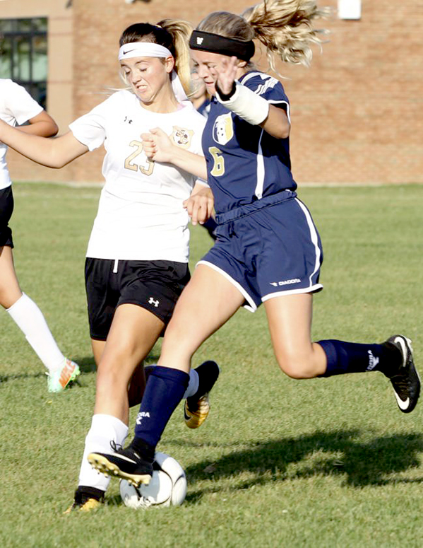 Optimism Fades | News, Sports, Jobs - Post Journal